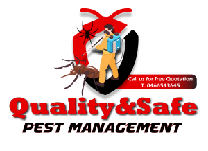 qspestcontrol