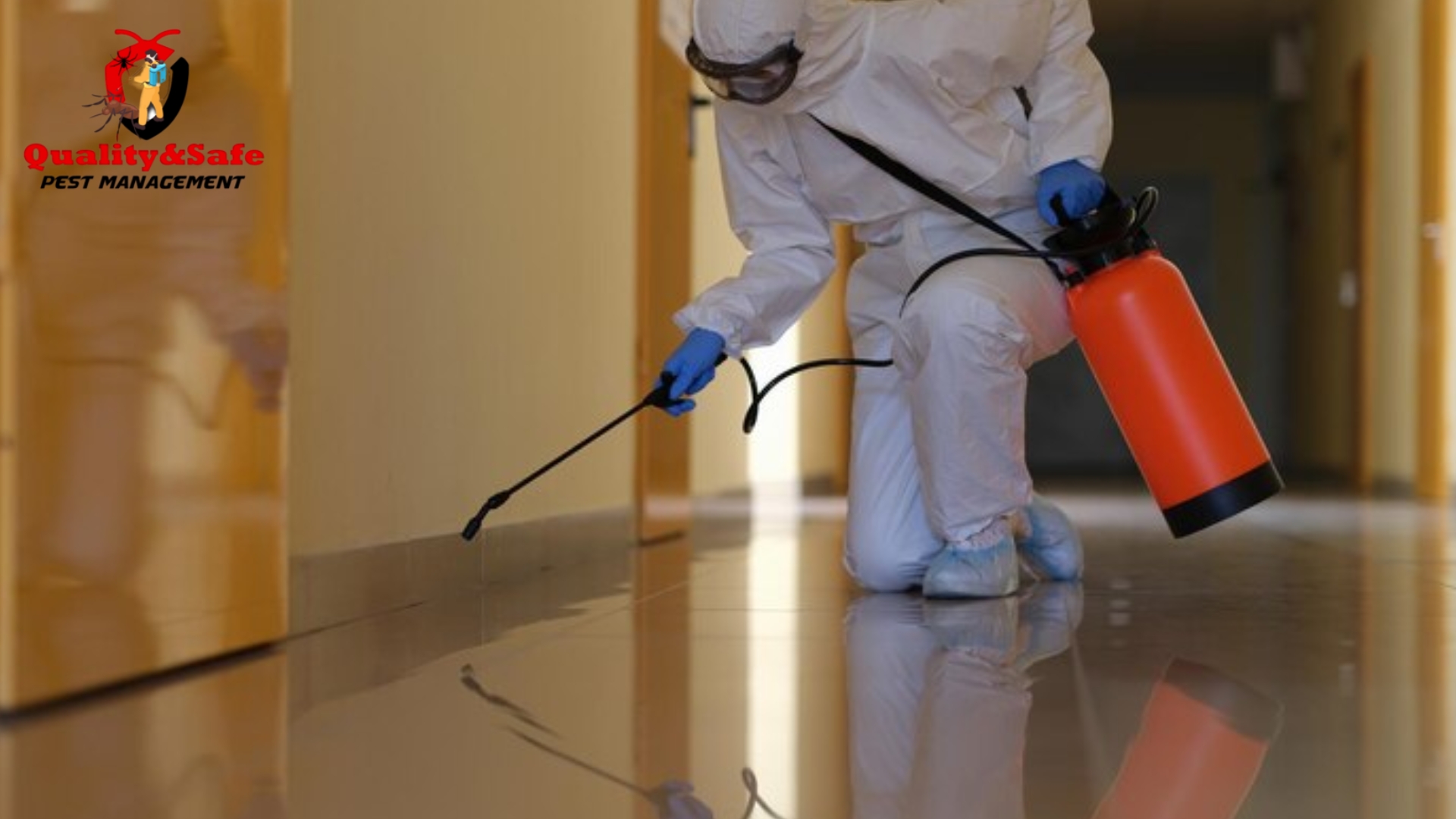 How Can You Ensure That Your Pest Control Service Follows a Safe Method? | qspestcontrol